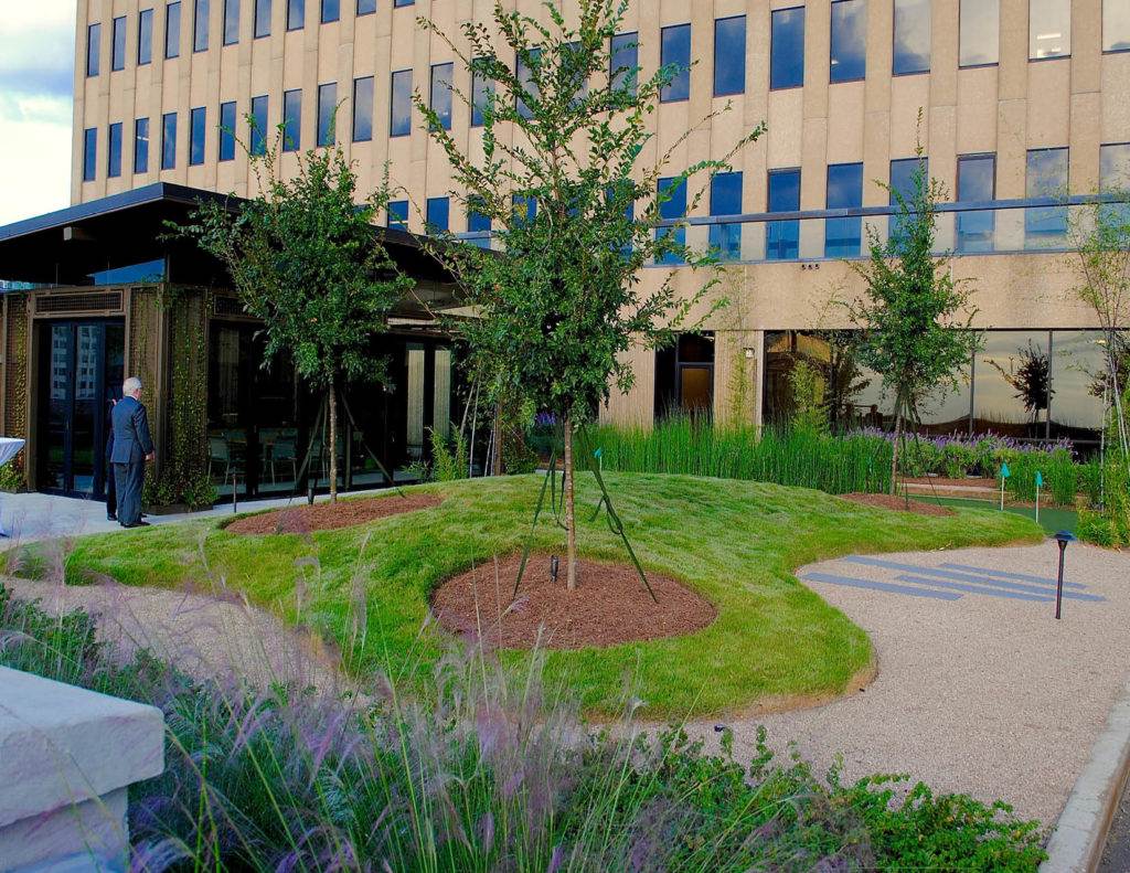 Taylor Porter Rooftop Terrace | Cangelosi Ward